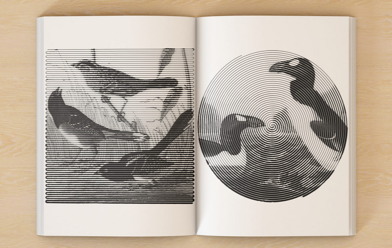 Spiroglyphics Birds of America Coloring Book 2022